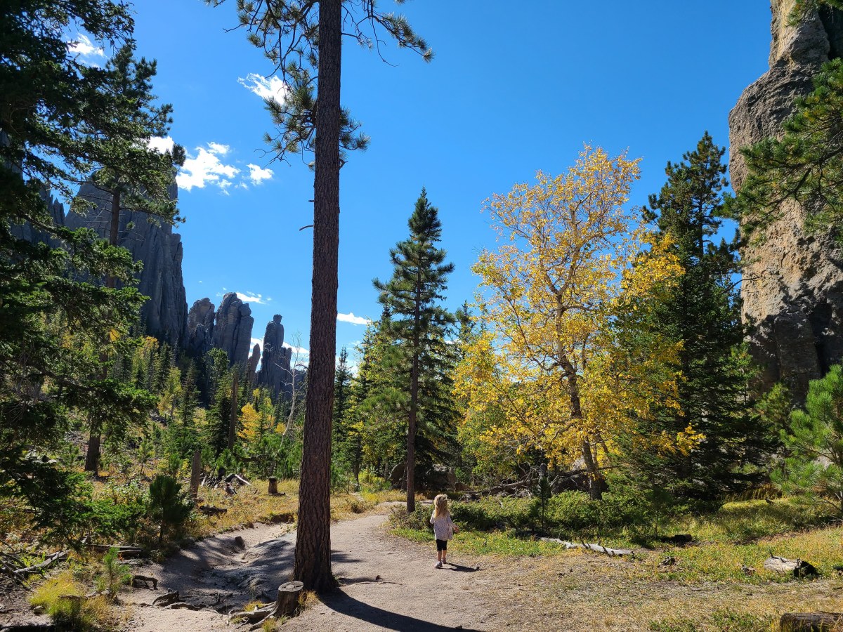 It’s Not All Cinnamon Buns and Rainbows with PMDD & PCOS – Nurturing ...